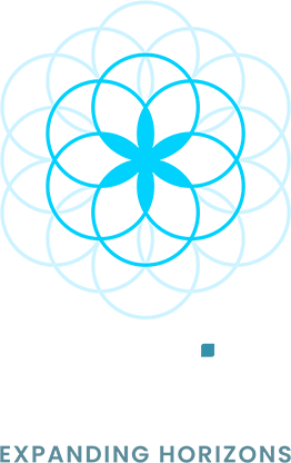 Aplis Branding Case Study | How we Created an EdTech Brand