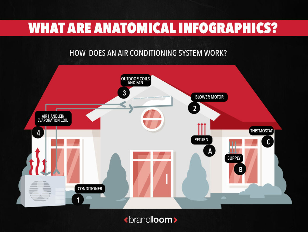 Unleashing the Power of Infographic Design for Branding Success