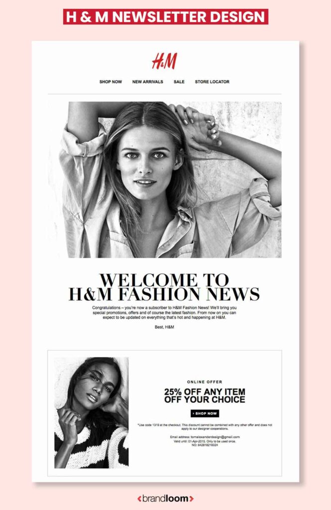 30 Best Creative Email Newsletter Design Template Ideas